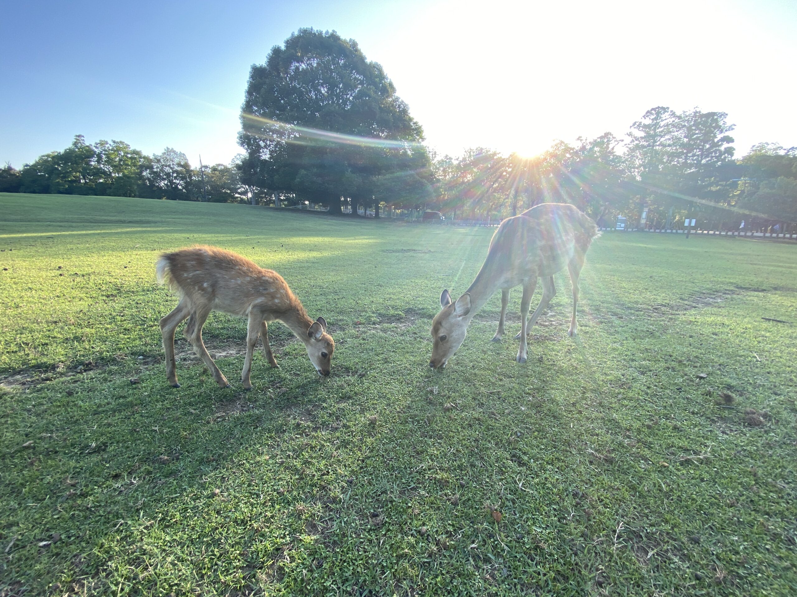 About us | CARRY ENTERTAINMENT